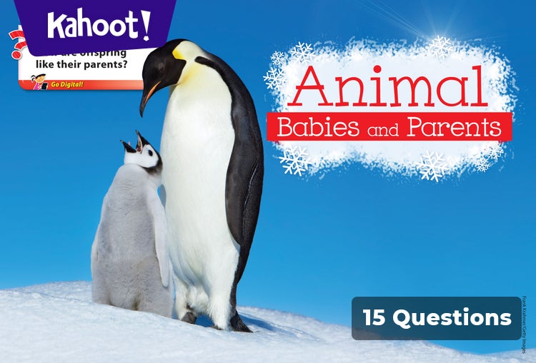 Wonders Grade 2 Unit 2 Week 4 - Kahoot! Quiz