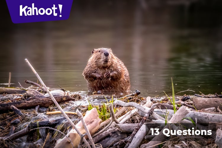 Discover Canada - Kahoot! Quiz