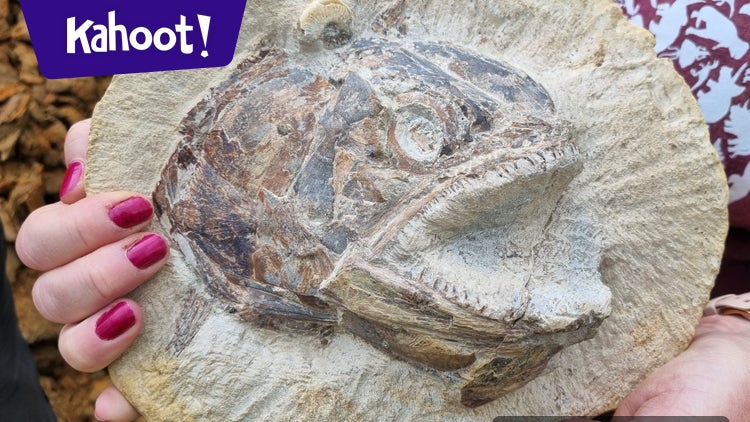 Fossils Vocab + Questions - Kahoot! Quiz