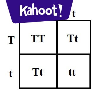 Genetics Test Review - Kahoot! Quiz