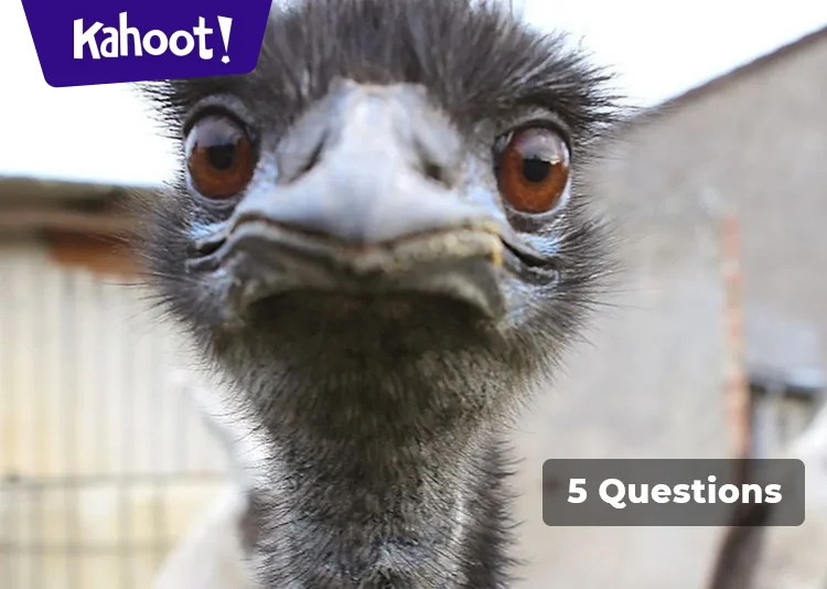 Emu - Kahoot! Quiz