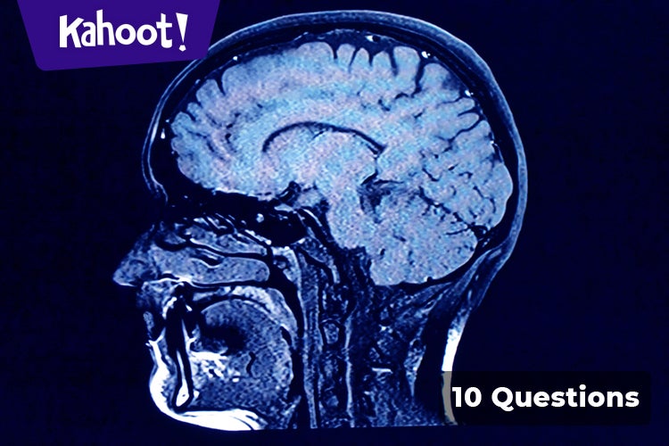 Lecture 3 - Introduction to Medical Imaging - Kahoot! Quiz