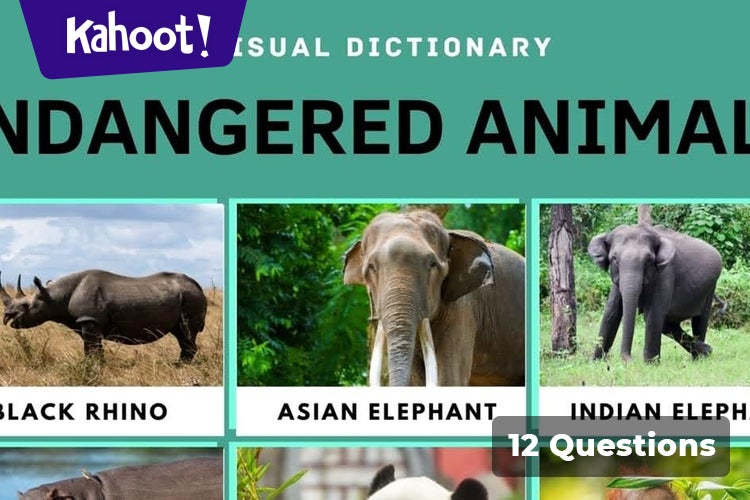 Endangered Animals - Kahoot! Quiz
