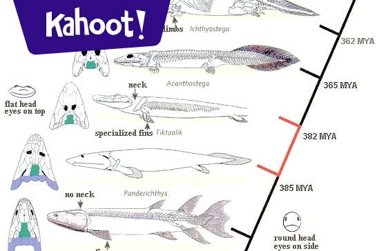 1. EMERGING FROM THE WATER: EVOLUTION OF AMPHIBIANS - Kahoot! Quiz