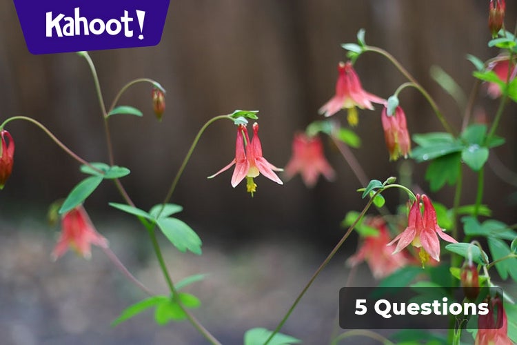 Plants 4 Exit Pass - Kahoot! Quiz
