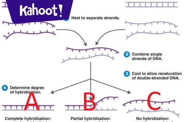 12 Evolution - Kahoot! Quiz