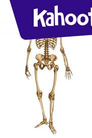Bones HCS - Kahoot! Quiz