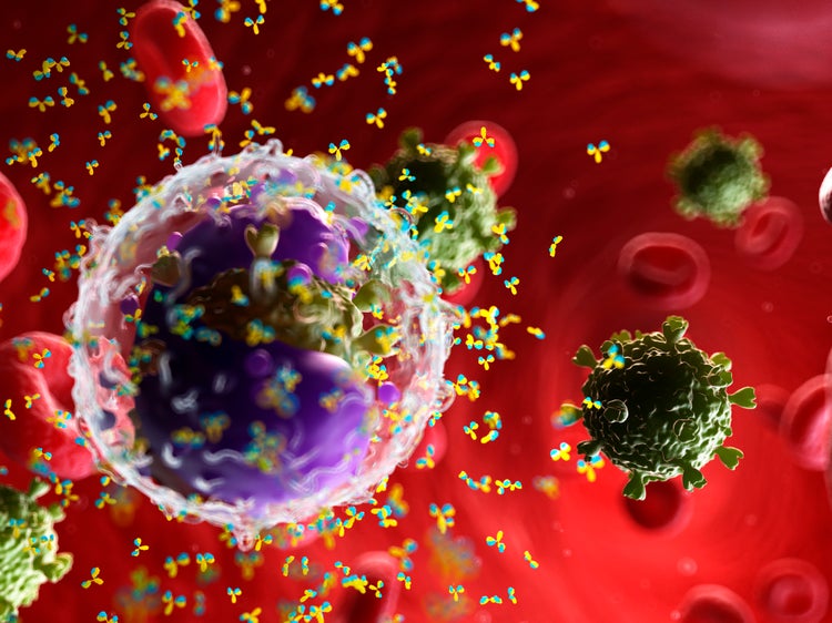 IB Biology 6.3: Defense against infectious disease - Kahoot! Course