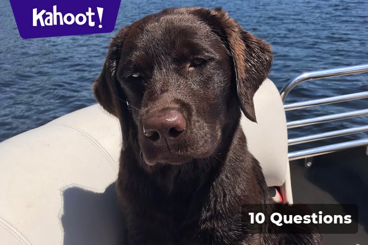 French with Madame Bouchard - Kahoot! Quiz