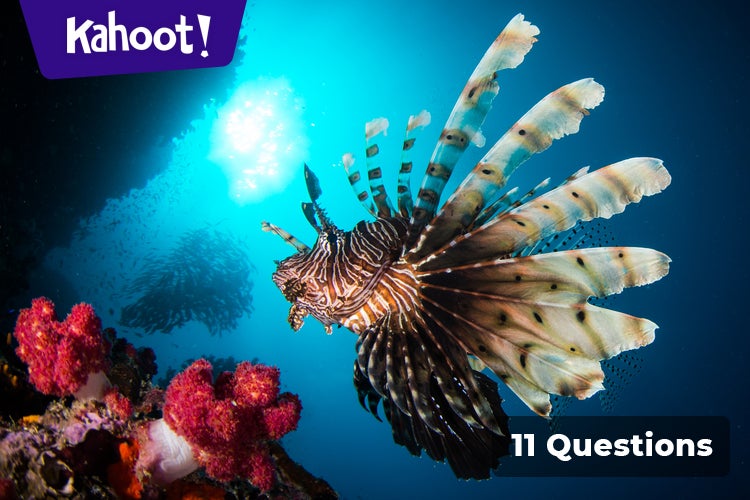 Principles of Ecology - Kahoot! Quiz