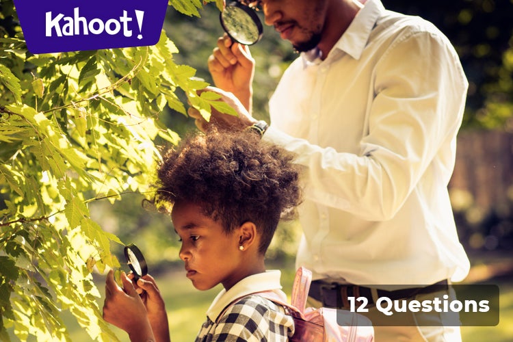 The Science of Summer - Kahoot! Quiz