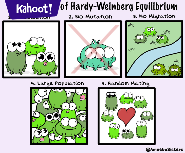 Evolution Review AP Bio - Kahoot! Quiz