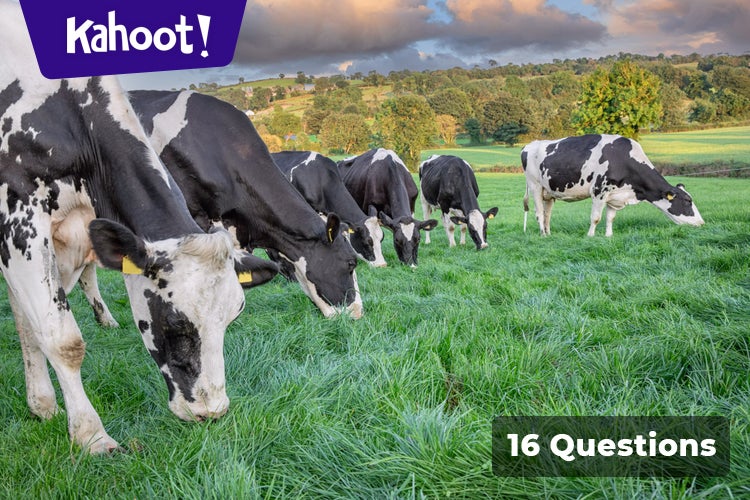 6 6 Selective Breeding Gcse Biology Aqa Kahoot Quiz