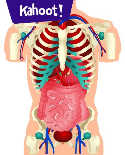 CKLA Human Body Review - Kahoot! Quiz
