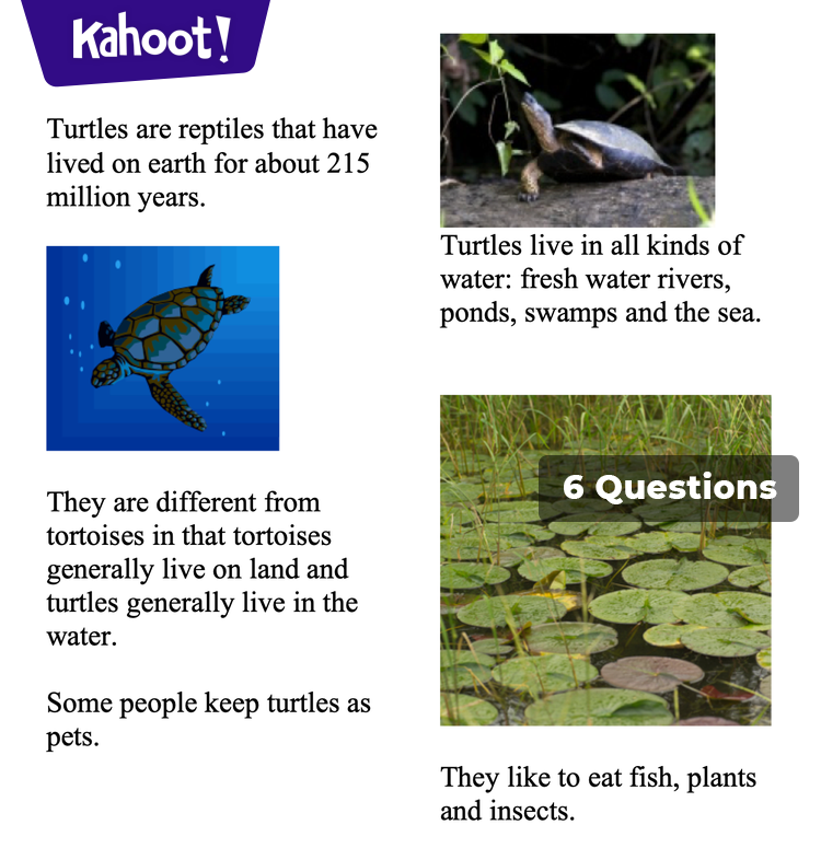 Reading 2: Turtles - Kahoot! Quiz