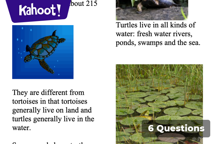 Reading 2: Turtles - Kahoot! Quiz