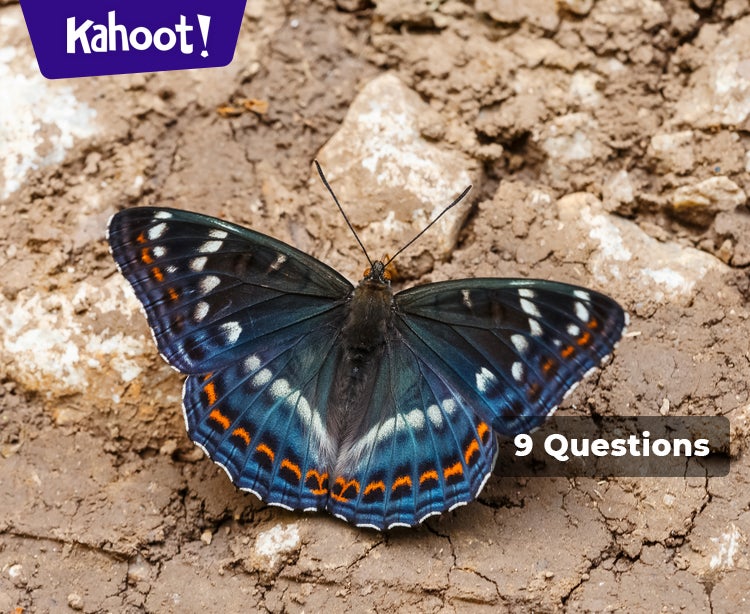 History unit 2 lesson 6 upper - Kahoot! Quiz