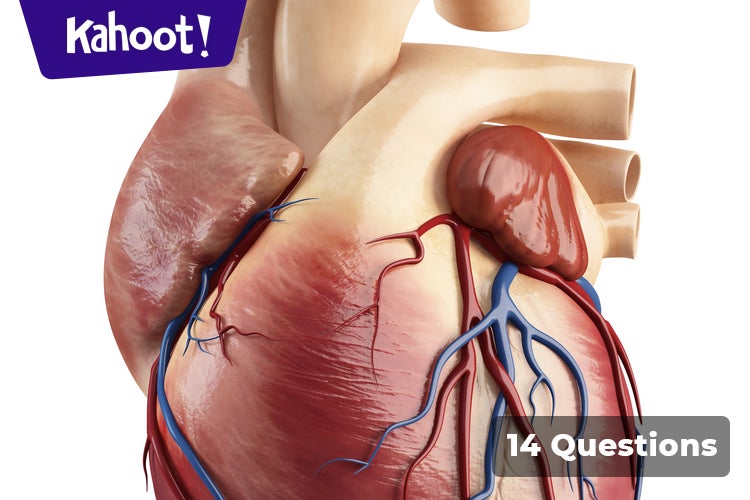 Human Heart Anatomy - Kahoot! Quiz