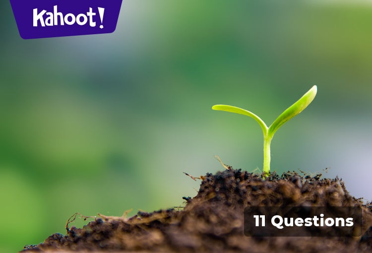 Plant Classification | NS LT P4 (page 6) - Kahoot! Quiz