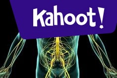 5-E Nervous System and Sense Organs - Kahoot! Quiz