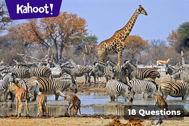 Chapter 6 Lesson 1: Ecosystems - Kahoot! Quiz