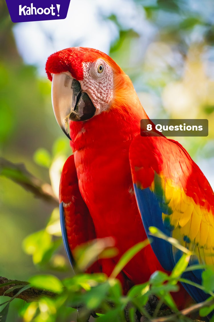 Kid’s Box Starters | Unit 7 - My Animals (2) - Kahoot! Quiz