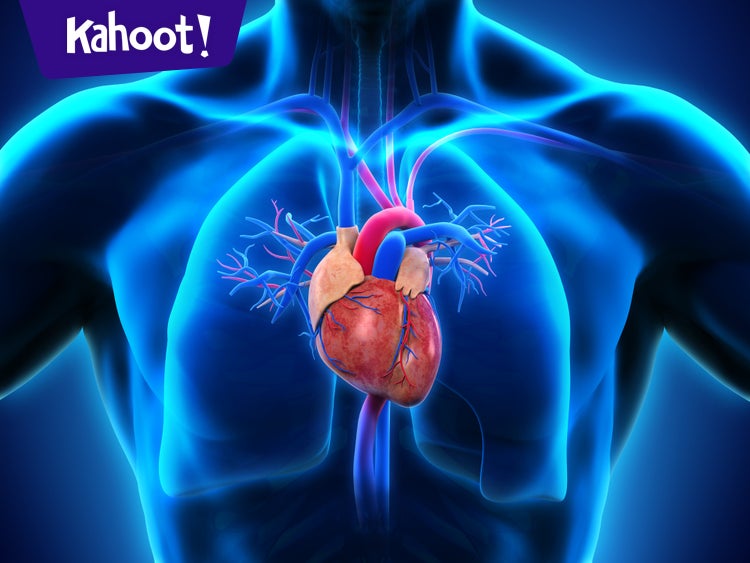 Crash Course Biology #27 Circulatory & Respiratory - Kahoot! Quiz