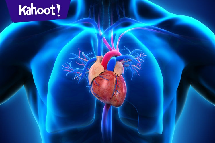 Crash Course Biology #27 Circulatory & Respiratory - Kahoot! Quiz