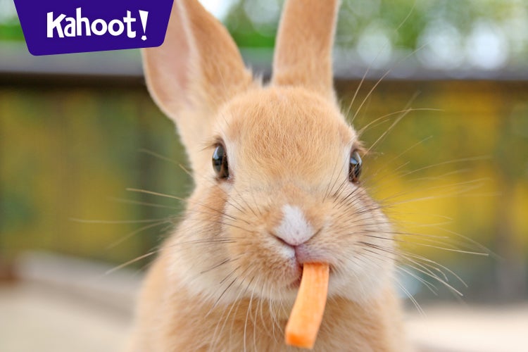 Animals (Level Up) (Picture Reveal) - Kahoot! Quiz