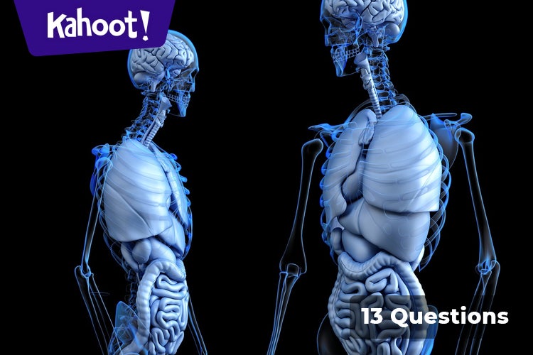 Biology: The Endocrine System - Kahoot! Quiz