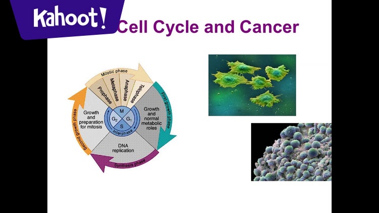 Cell Cycle & Cancer Review - Kahoot! Quiz