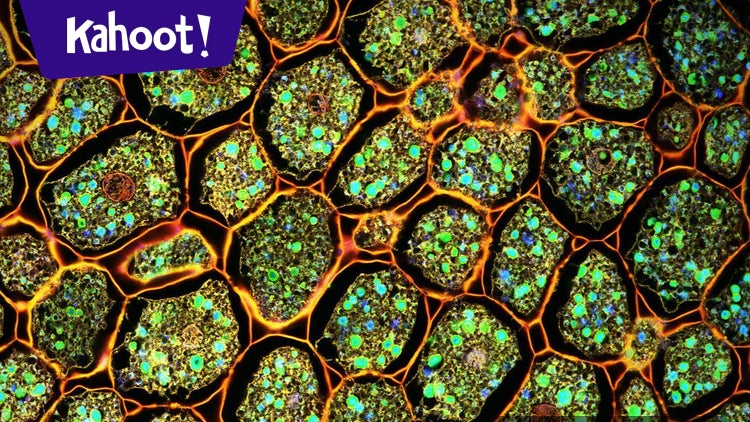 Cell Organelles - Kahoot! Quiz
