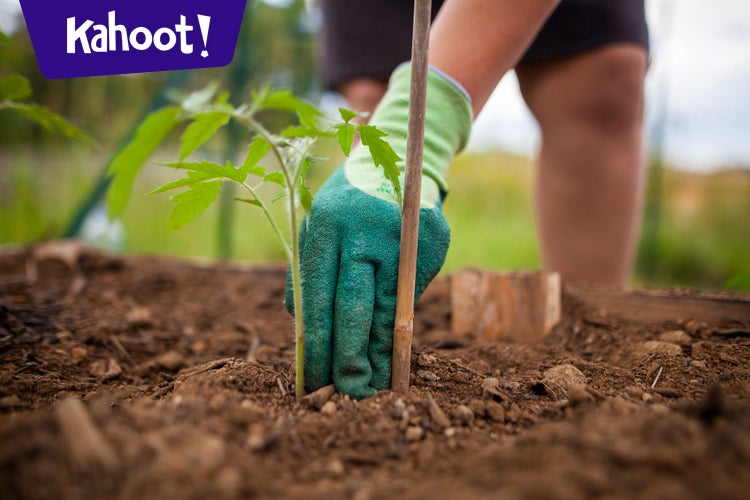 Plant Reproduction Quiz - Kahoot! Quiz