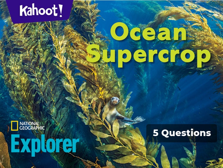 Explorer Magazine — Ocean Supercrop - Kahoot! Quiz