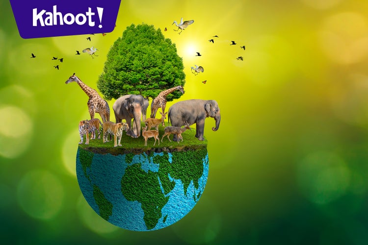 Animals (A1) - Kahoot! Quiz