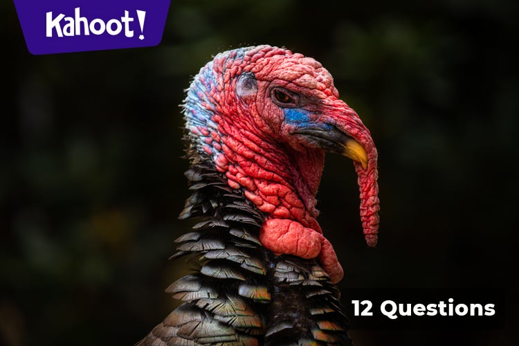 Talking Turkey - Kahoot! Quiz