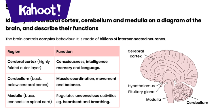 The brain AQA GCSE Biology - Kahoot! Quiz