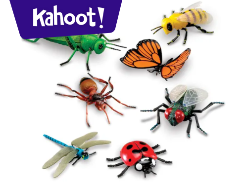 Research Simulation Task - Kahoot! Quiz