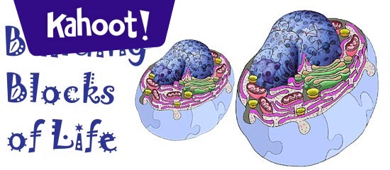 Cell Structure and Function - Kahoot! Quiz