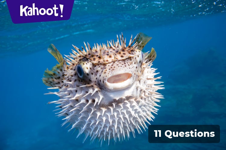 Nutrition Fish - Kahoot! Quiz