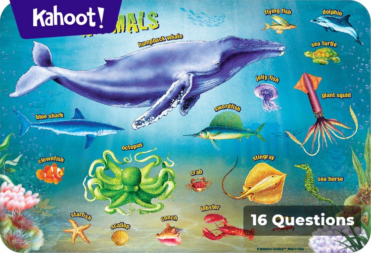 Duplicate of Ocean Animals - Kahoot! Quiz