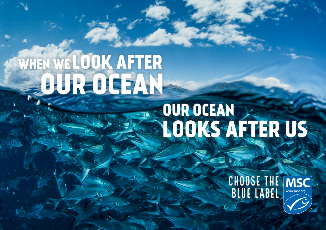 World Ocean Day: Collective Action for the Ocean - Kahoot! Quiz