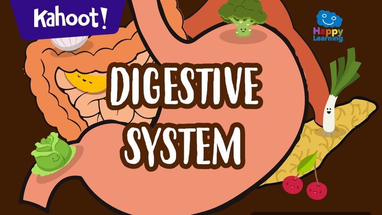 The Digestive System - Kahoot! Quiz
