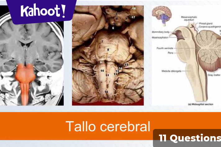 Tronco encefálico parte 1 (gpo 3) - Kahoot! Quiz