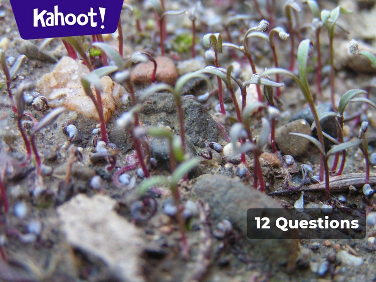 1_germination d'une graine - Kahoot! Quiz