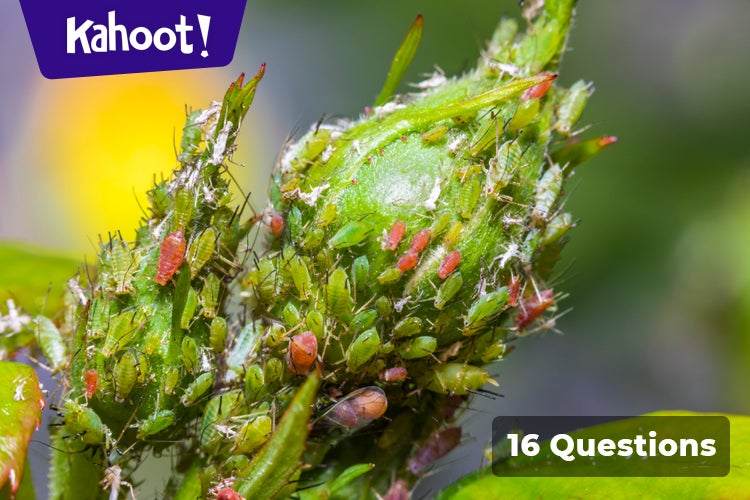 3.7. Plant Disease GCSE Biology AQA - Kahoot! Quiz