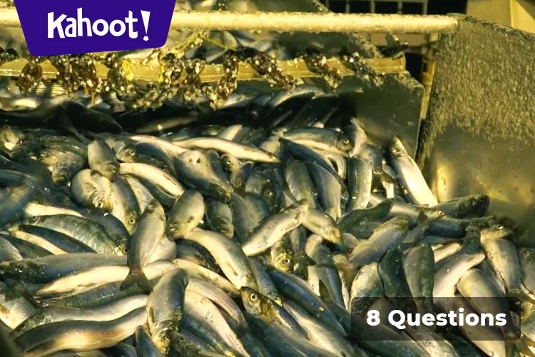TV 2 Skole: Herring fishing - ENGLISH - Kahoot! Quiz