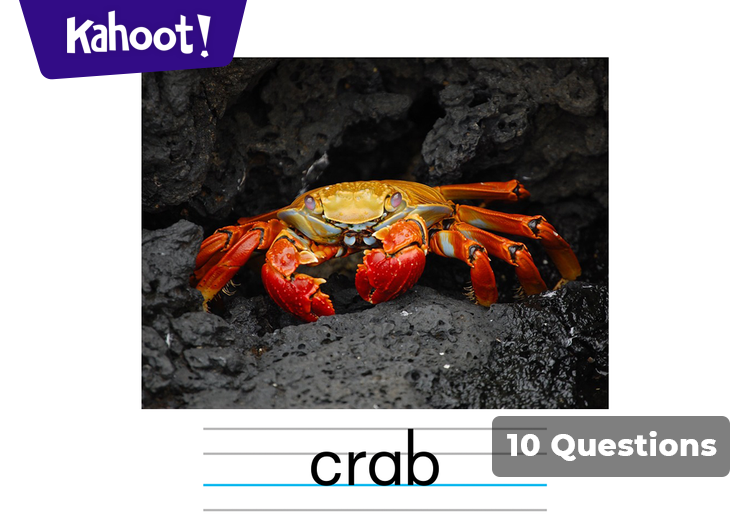All Grade Sea animals - Kahoot! Quiz
