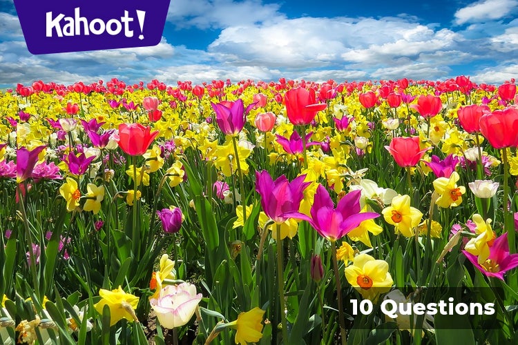 Play Kahoot! | Spring!