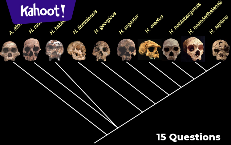 Les Premiers Représentants Du Genre Homo Kahoot Quiz